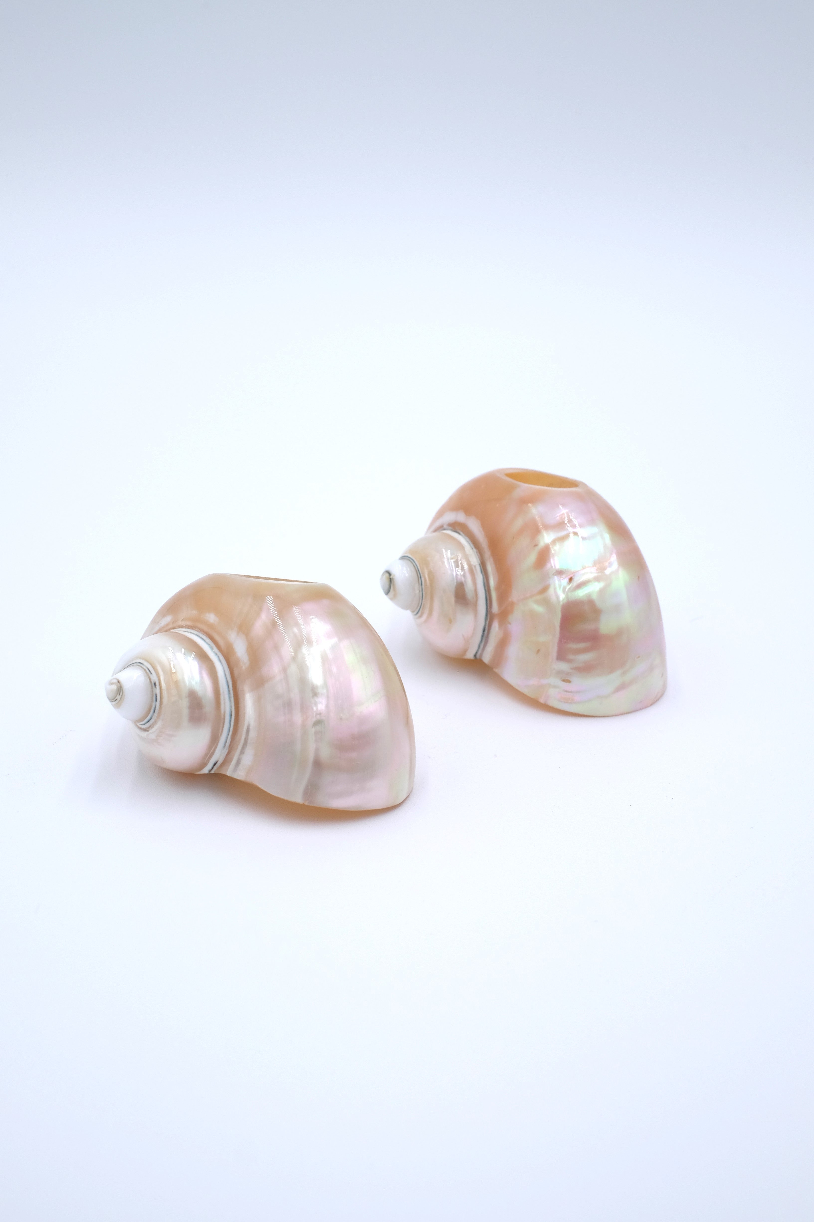 Seashell Napkin Rings, Set of 4 – Inner Child